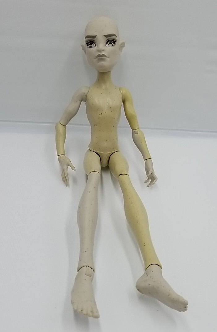 Monster High Doll GARGOYLE BOY Create A Monster CAM Series Ghoul ...