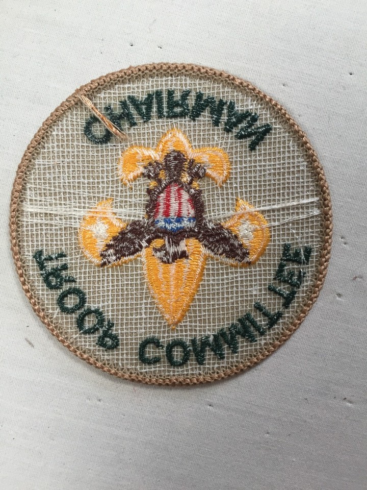 Troop Committee Chairman Gauze plastic back adult BSA Position Patch | eBay