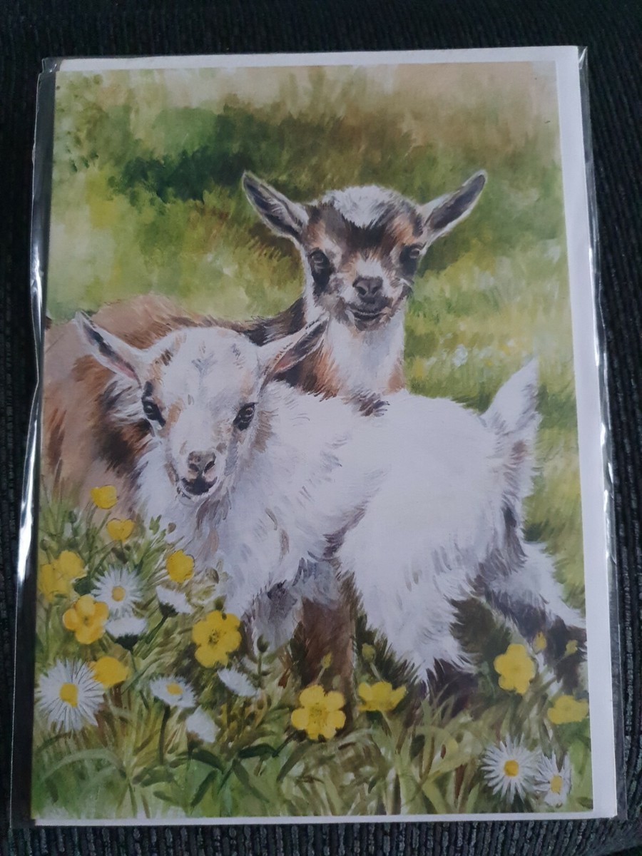 Baby Goat Birthday Invitation Goat Themed Baby Shower Invitations