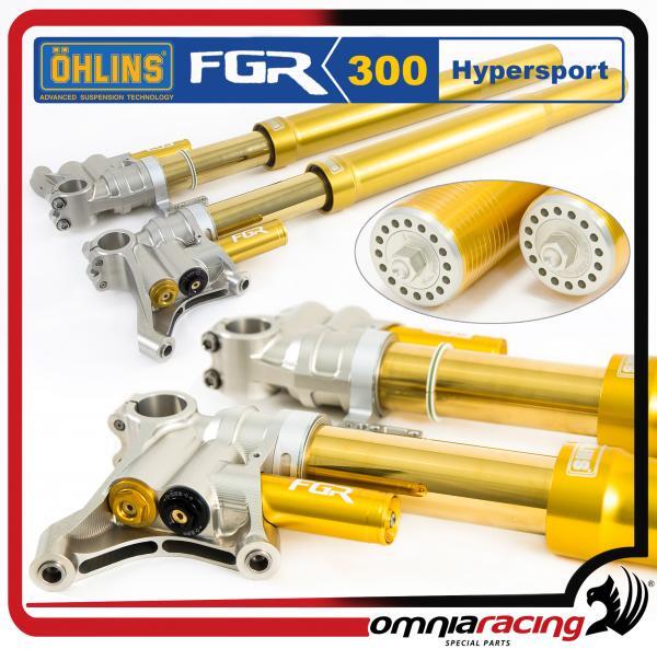 OHLINS FGR 710 GP 125 Front Fork Kit 38rr Official World Moto 1 Gp125 ...
