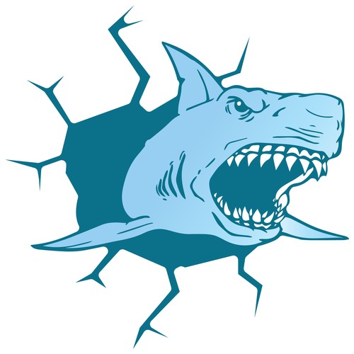 Aufkleber Shark Hai 70x70 cm für Auto KFZ Wandtattoo Haifisch Sticker ...