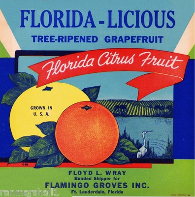 Fort Lauderdale Florida - Licious Orange Citrus Fruit Crate Label Art ...