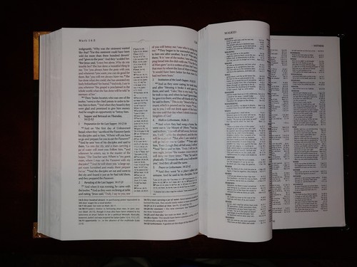 Ryrie ESV Study Bible by Charles C. Ryrie (2011, Hardcover) for sale ...