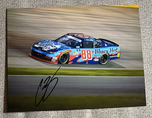 Connor Zilisch Signed 8x10 Photo Blues Hog Car On The Track NASCAR Auto ...