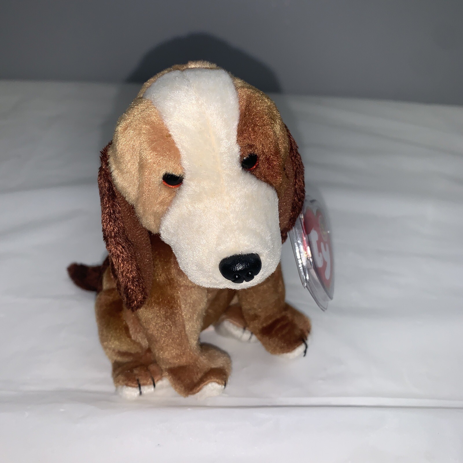 TY HOLMES the DOG BEANIE BABY OF THE MONTH - MWMT | eBay