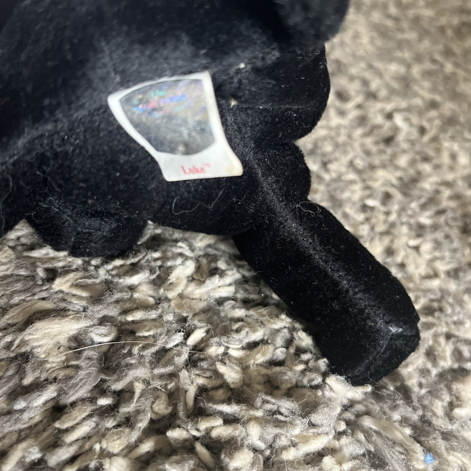 TY Beanie Babies Luke 1999 Lab Dog GUC | eBay
