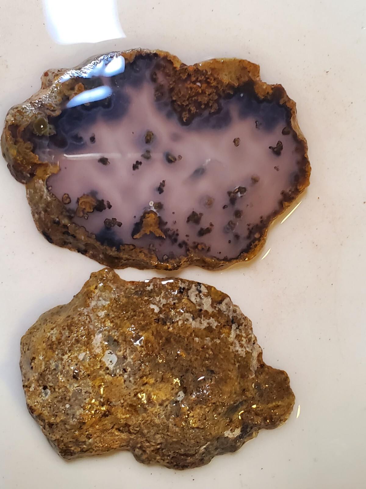 2 Woodward Ranch Pom-Pom Tube Plume Agate Rough Alpine Texas 92g | eBay