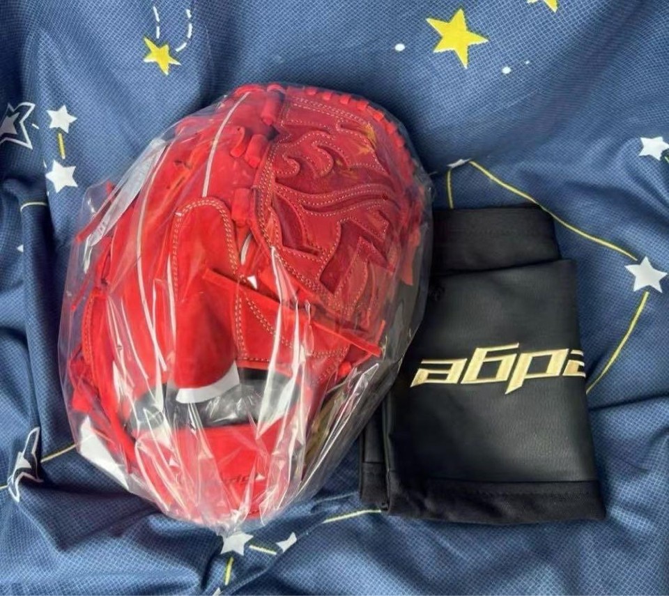 SSK Proedge Hardball Pro Edge Pitcher's Glove Bag Included Baseball | eBay