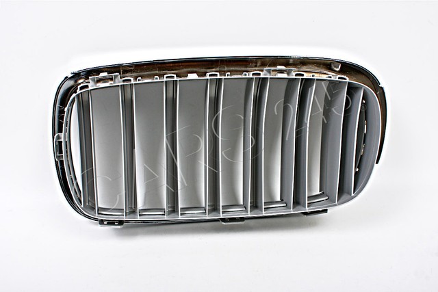 BMW Radiator Kidney Grille Chrome Titanium Right 51117303108 X5 F15 for ...