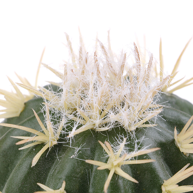 1x Funny Cactus Car Antenna Pen Topper Aerial Ball Decor Toy Finding C ...