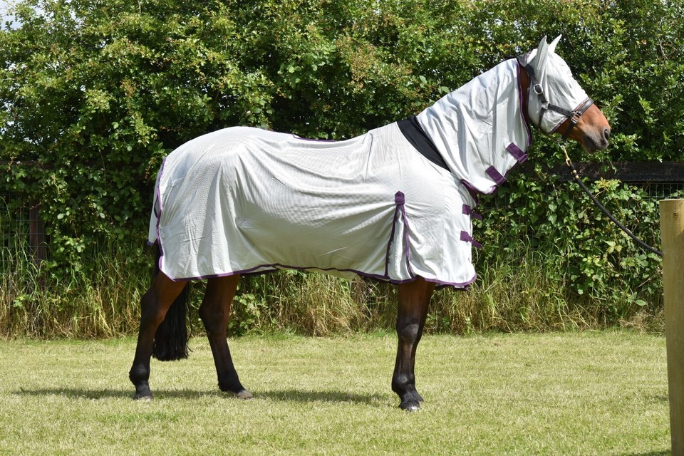 Fly Rug Mesh Horse Fly Rug With Free Fly Mask Combo Neck Summer Fly Rug ...