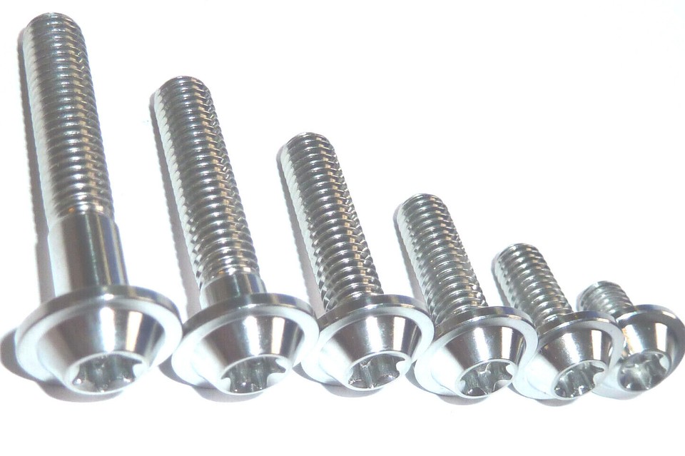 M6 X 25 Titanium Low Profile T30 Torx FAIRING Washer Head Bolt Screw ...