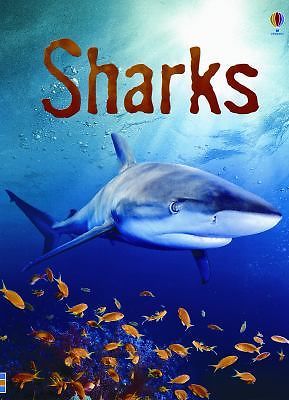 Sharks; Usborne Beginners - hardcover, 9780794515812, Catriona Clarke ...