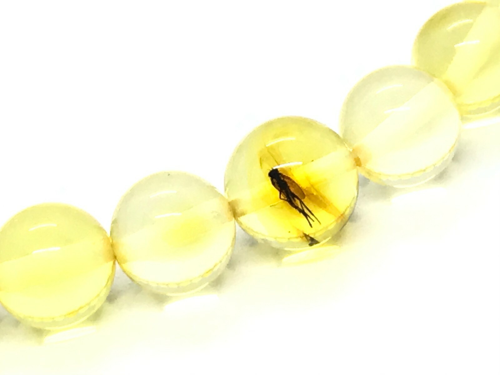 Insect BALTIC AMBER BRACELET Fossil Inclusion Round Beads Insects Gift ...