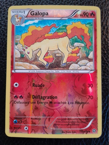Carte Pokémon galopa reverse 17/114 offensive vapeur vf (port groupé ...