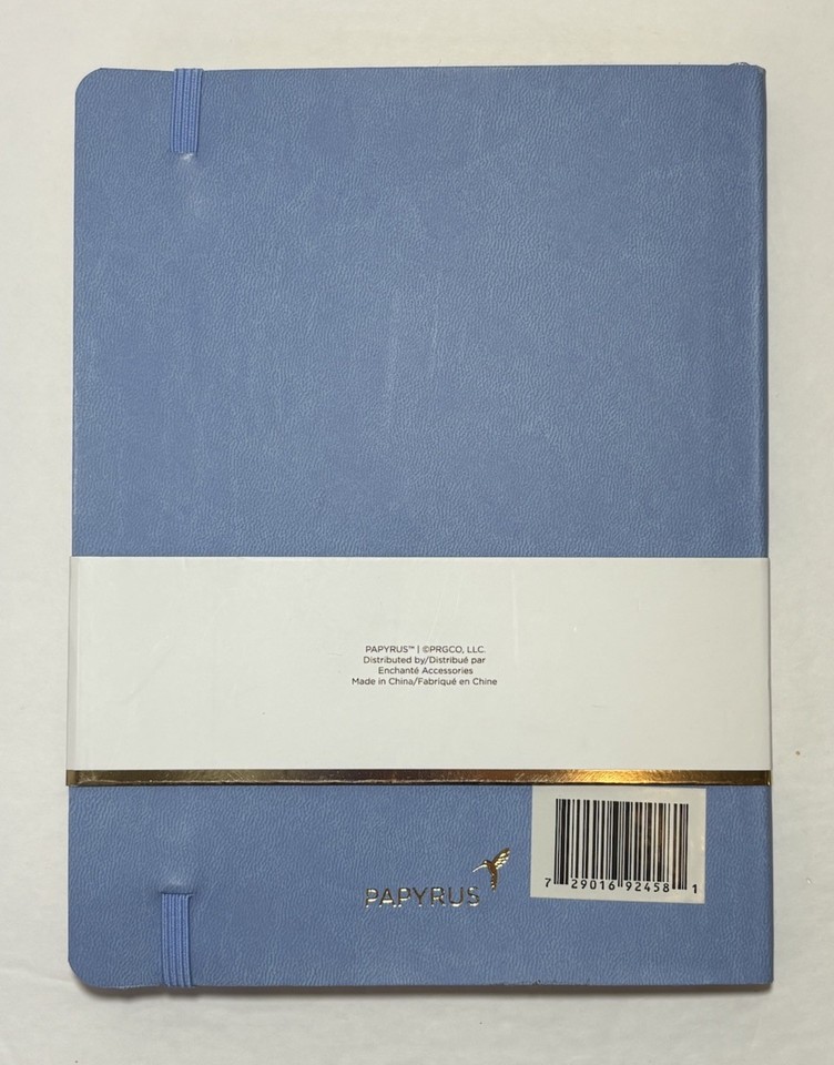 PAPYRUS Blue Ruled Gilded Notebook Journal 240 Ivory Lined Pages ...