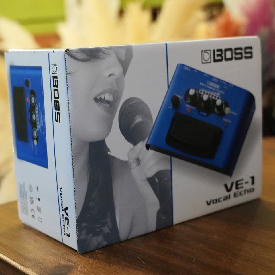 Boss VE-1 Vocal Echo Vocal Effect Processor | eBay