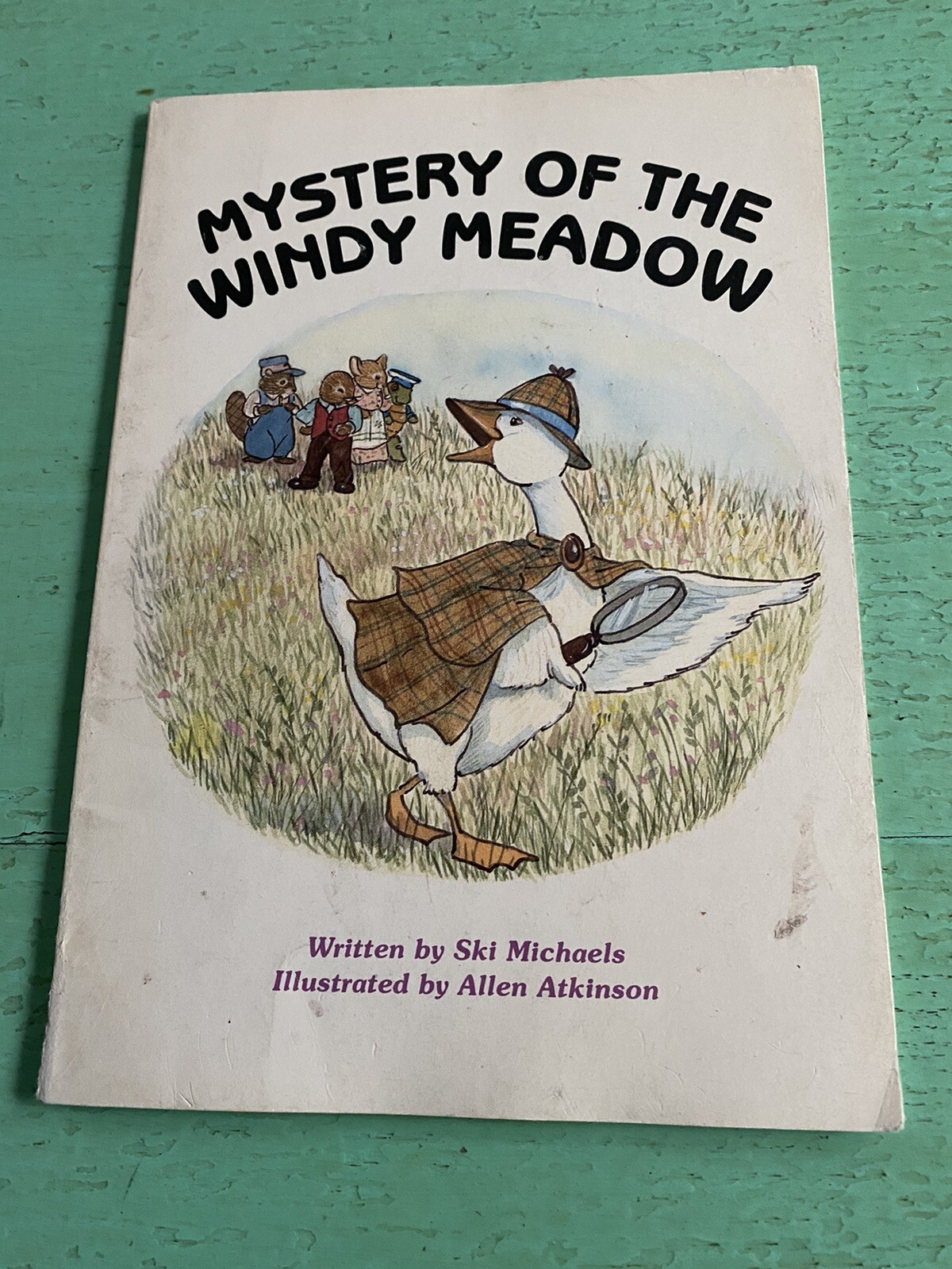 Vintage 1986 Mystery Of The Windy Meadow Storybook Illustrated Picture ...