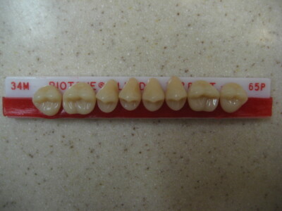 Dentsply Denture Teeth Biotone Blended 33° Lower Posterior 34M/65P ...