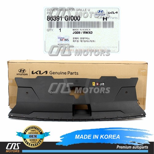 ⭐GENUINE⭐ Radiator Grille Upper Sight Shield for 22-24 Hyundai Ioniq5 ...