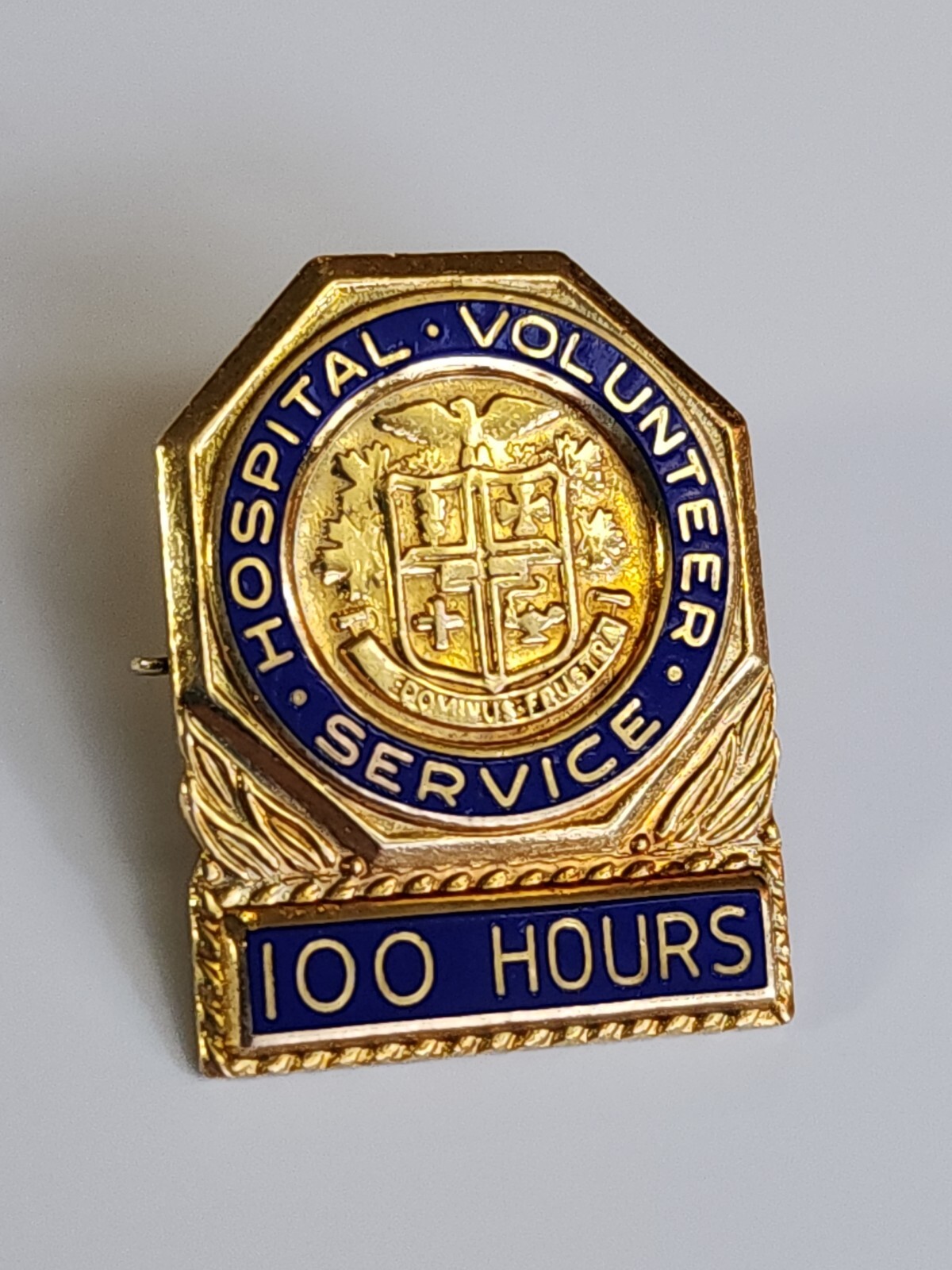 Hospital Volunteer Service Award Lapel Pin Hexagon Shape Blue & Gold ...