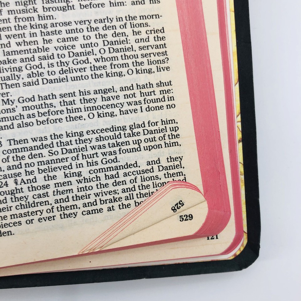 Holy Bible King James Version KJV Red Letter Dictionary Concordance ...