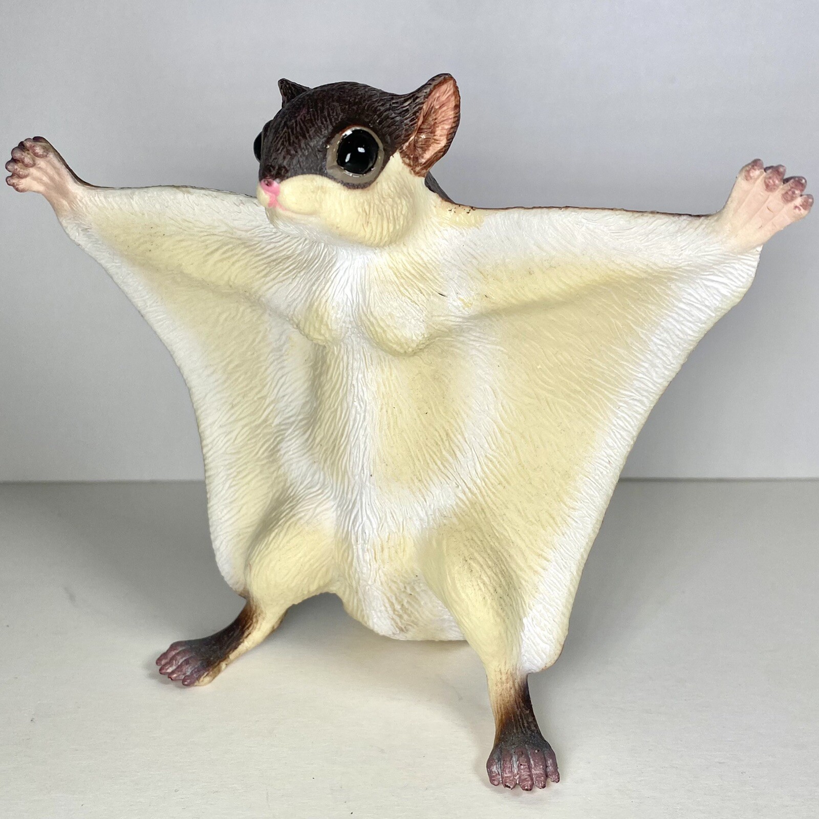 Flying Squirrel