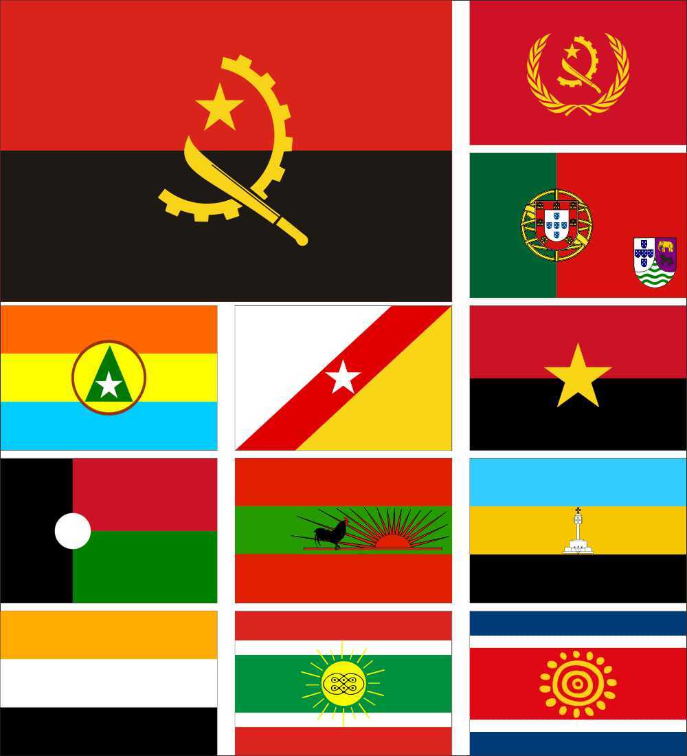 Tanzanian Political Party Flags Left And Right In South African