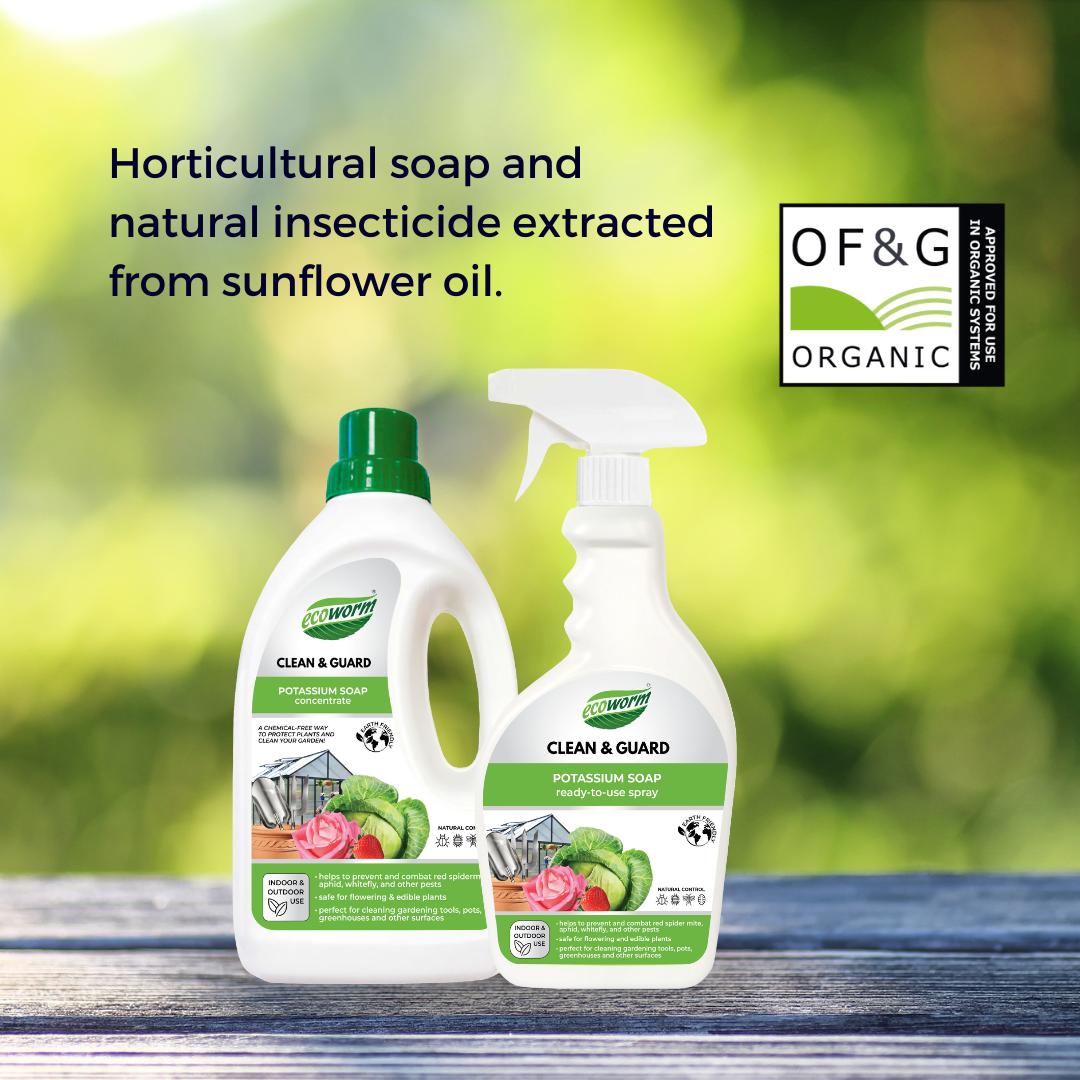Ecoworm Potassium Soap Concentrate – Organic Horticultural Soap 1L ...