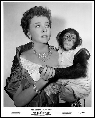 Jessie Royce Landis in My Man Godfrey (1957) ORIGINAL VINTAGE PHOTO M ...