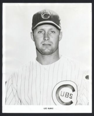 1964 Chicago Cubs LEO BURKE Team Issue Original Photo | eBay