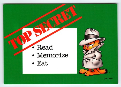 Garfield Cat Postcard Top Secret Jim Davis 1978 Tabby Cartoon Secret ...