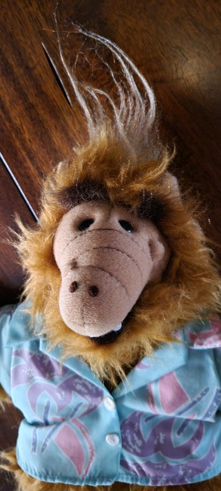 1988 ALF HAND PUPPET ABC ALIEN PRODUCTIONS | eBay