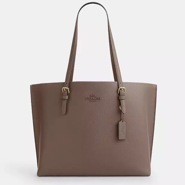 NWT COACH Mollie Tote Handbag Leather Gold/Dark Stone CV968 | eBay