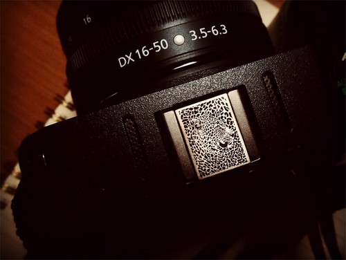 Camera Hot Shoe Cover Cap Tiger Zebra Leopard For Fuji Canon Sony Leica ...