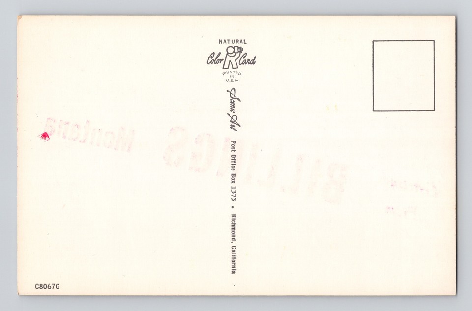 Postcard Montana Billings MT Sheep Cattle Banner Split View 1960s ...