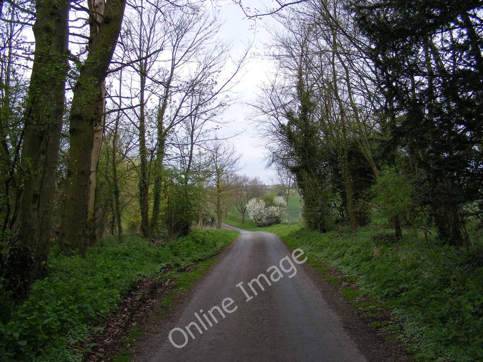 Photo 6x4 Old Rectory Road Dennington Hall Looking towards Mill Road ...