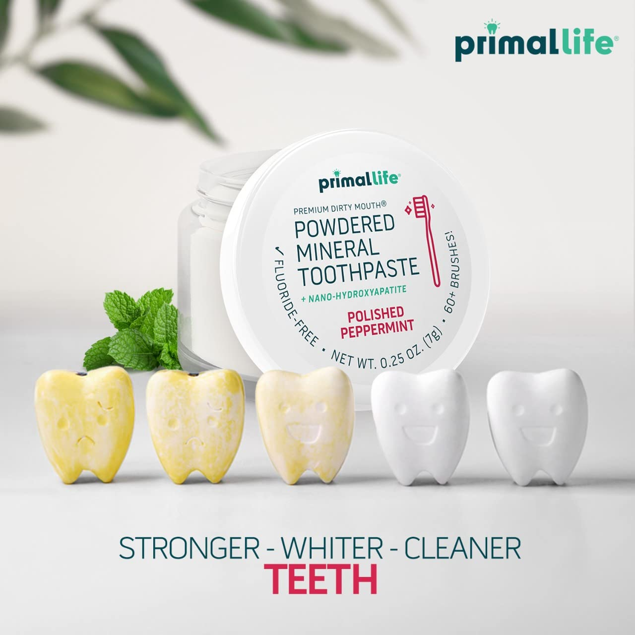 Primal Life Organics - Dirty Mouth Toothpowder, Tooth Cleaning Powder ...
