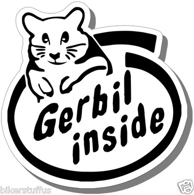GERBIL INSIDE BUMPER STICKER LAPTOP STICKER TOOLBOX STICKER WINDOW ...