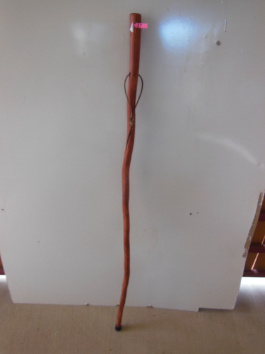 HIKING/WALKING STICK MADE FROM NEW MEXICO YUCCA PLANT FLOWER STALK ...