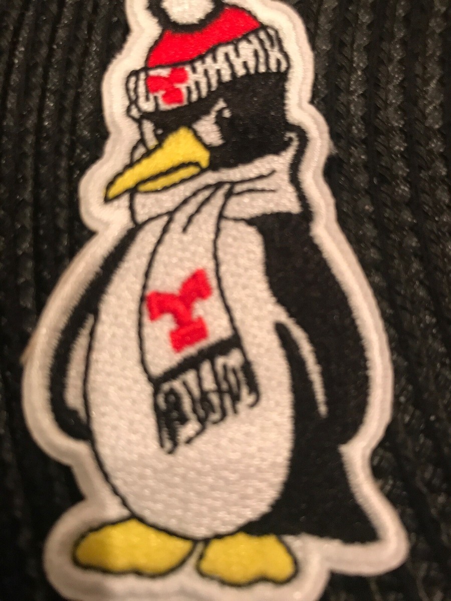 Youngstown University Mascot