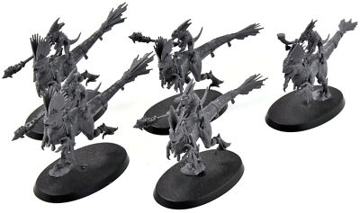 SERAPHON 5 Raptadon Hunters #1 Sigmar | eBay