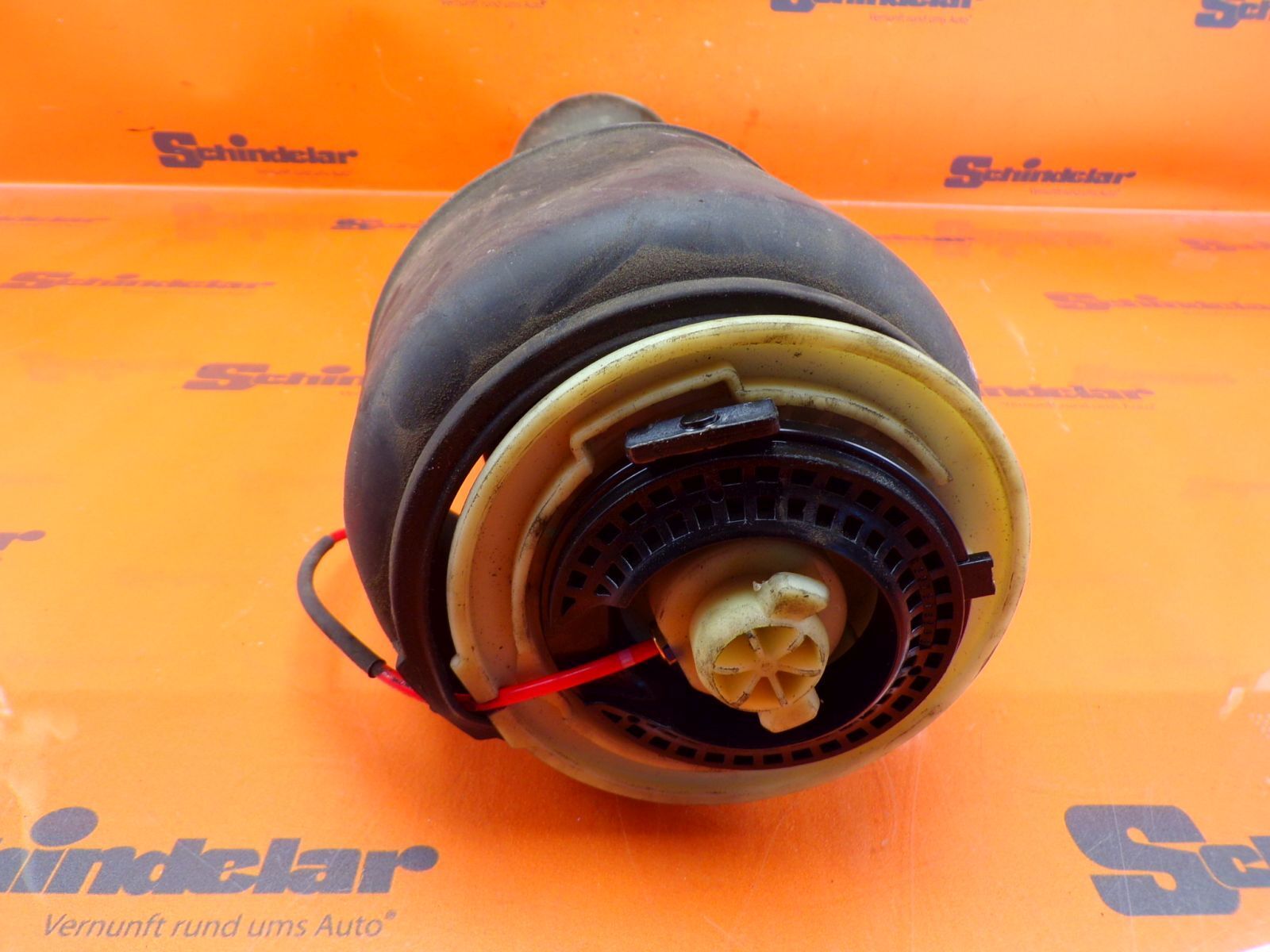 Luftdämpfer links hinten 3710 6781843 , R307513704 BMW 5 TOURING (F11 ...