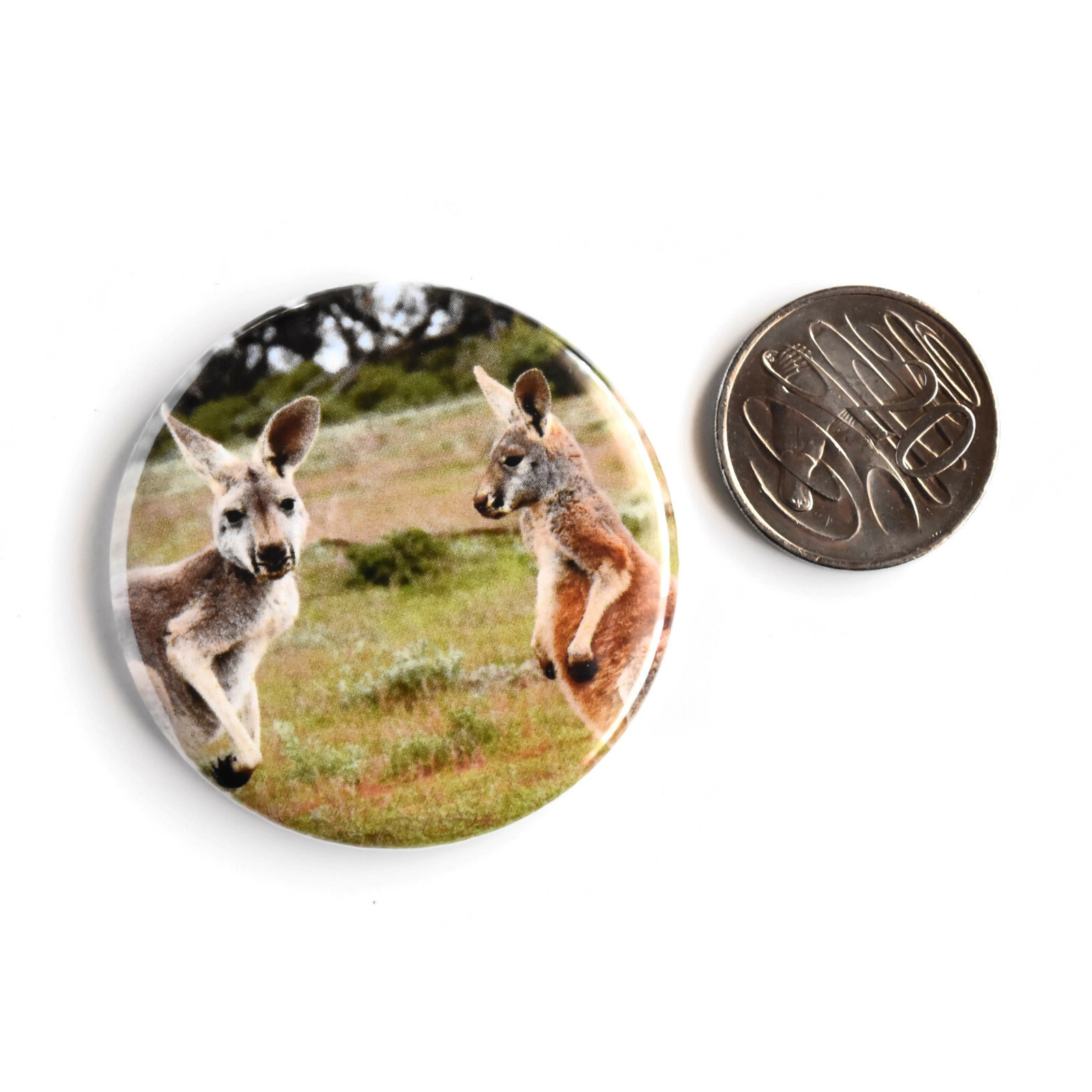 Kangaroo Fridge Magnets Set 4pc 55mm Cute Australian Animal | eBay ...