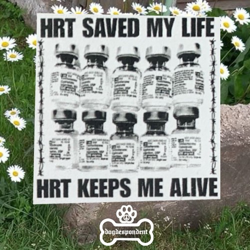 HRT SAVES sticker handmade diy punk alternative transgender trans ...