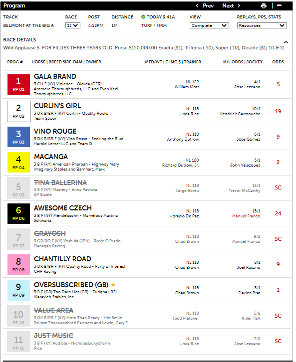 Horse Racing Software: Pro-Handicap Wizard 4.3 | eBay