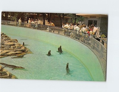 Postcard Moat Monkey Island Como Park Zoo Saint St. Paul Minnesota USA ...