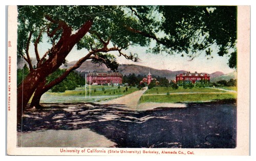 Early 1900s University of California Berkeley Campus Postcard | eBay