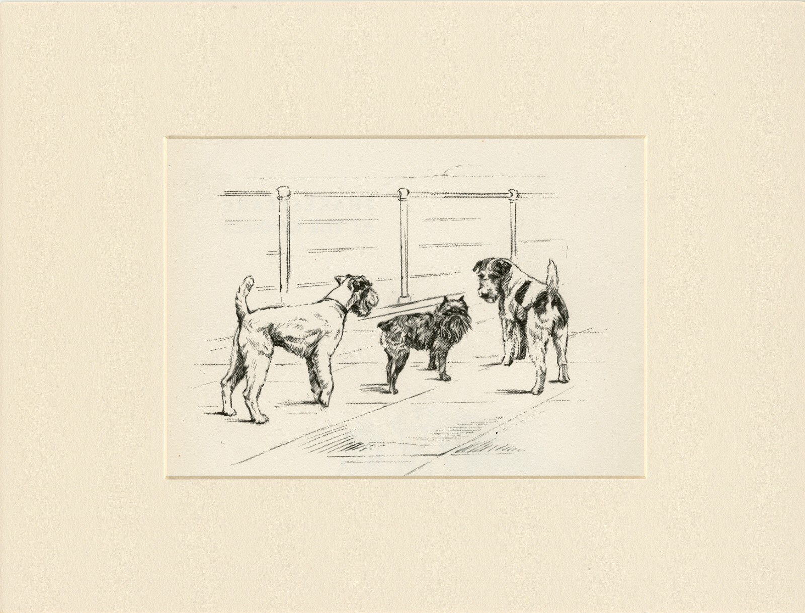 JACK RUSSELL FOX TERRIER & BRUSSELS GRIFFON MOUNTED DOG PRINT by PERSIS ...