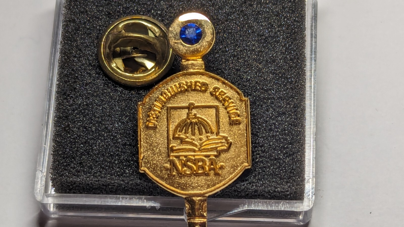 NSBA DISTINGUISHED SERVICE NSBA AWARD PIN PINBACK | eBay